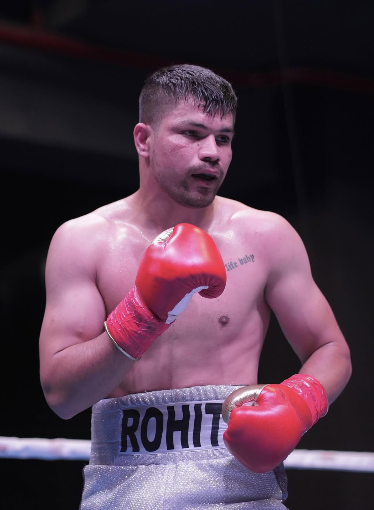 Creed Boxing Promotions - Where Champions Are Born